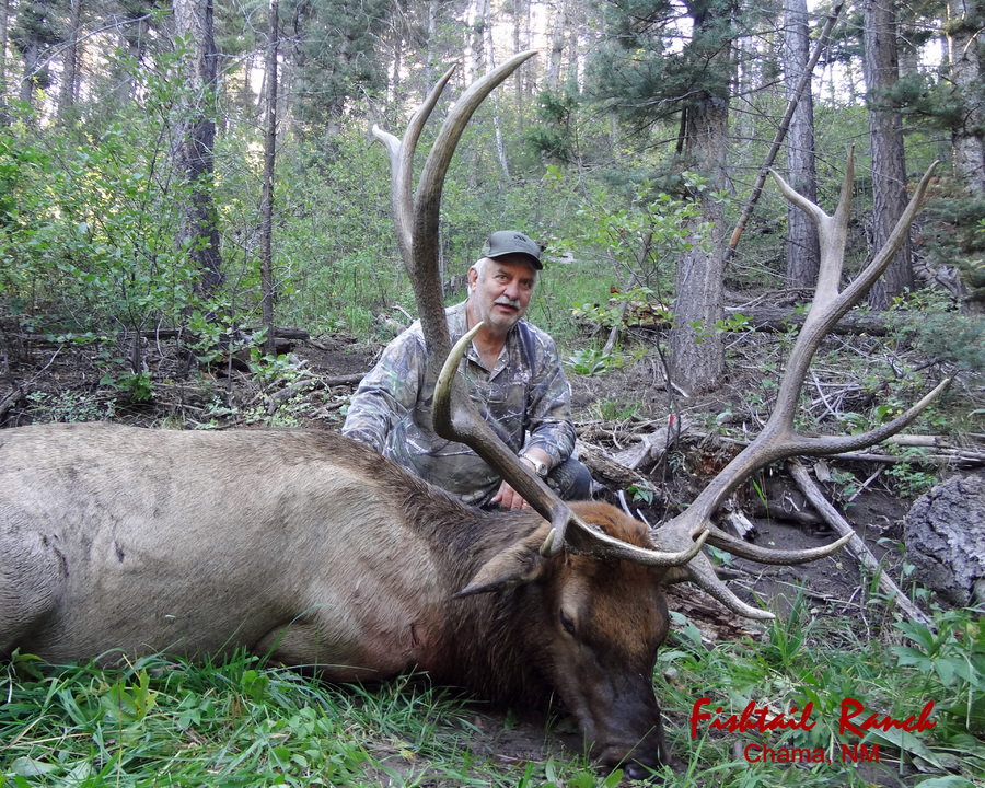 Southern Colorado Elk Hunts | Fishtail Ranch