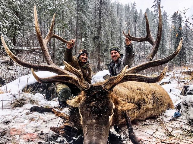 Arizona Late Season Rifle Elk | Guidefitter