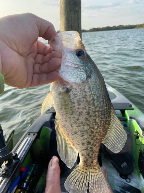 Sean Gabriel - Posts | Guidefitter