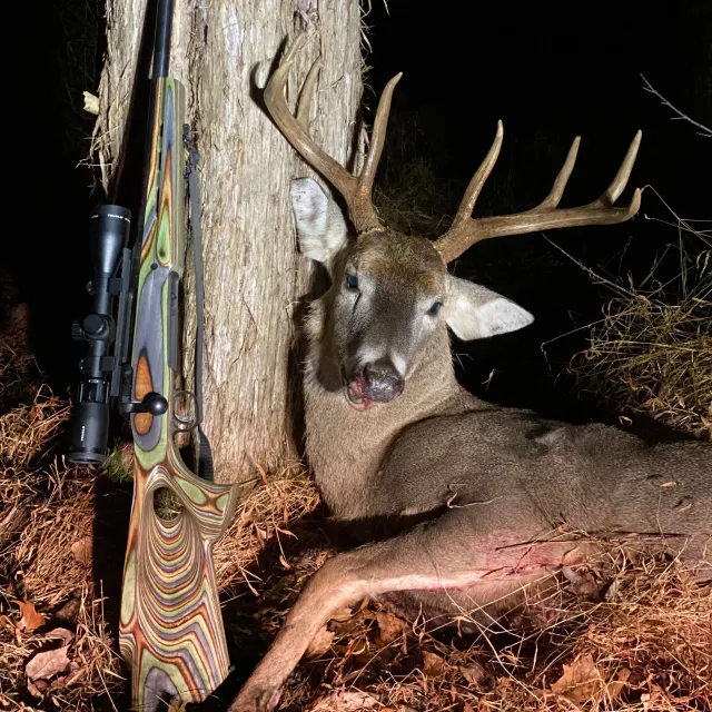 Review - Great budget scope! | Guidefitter