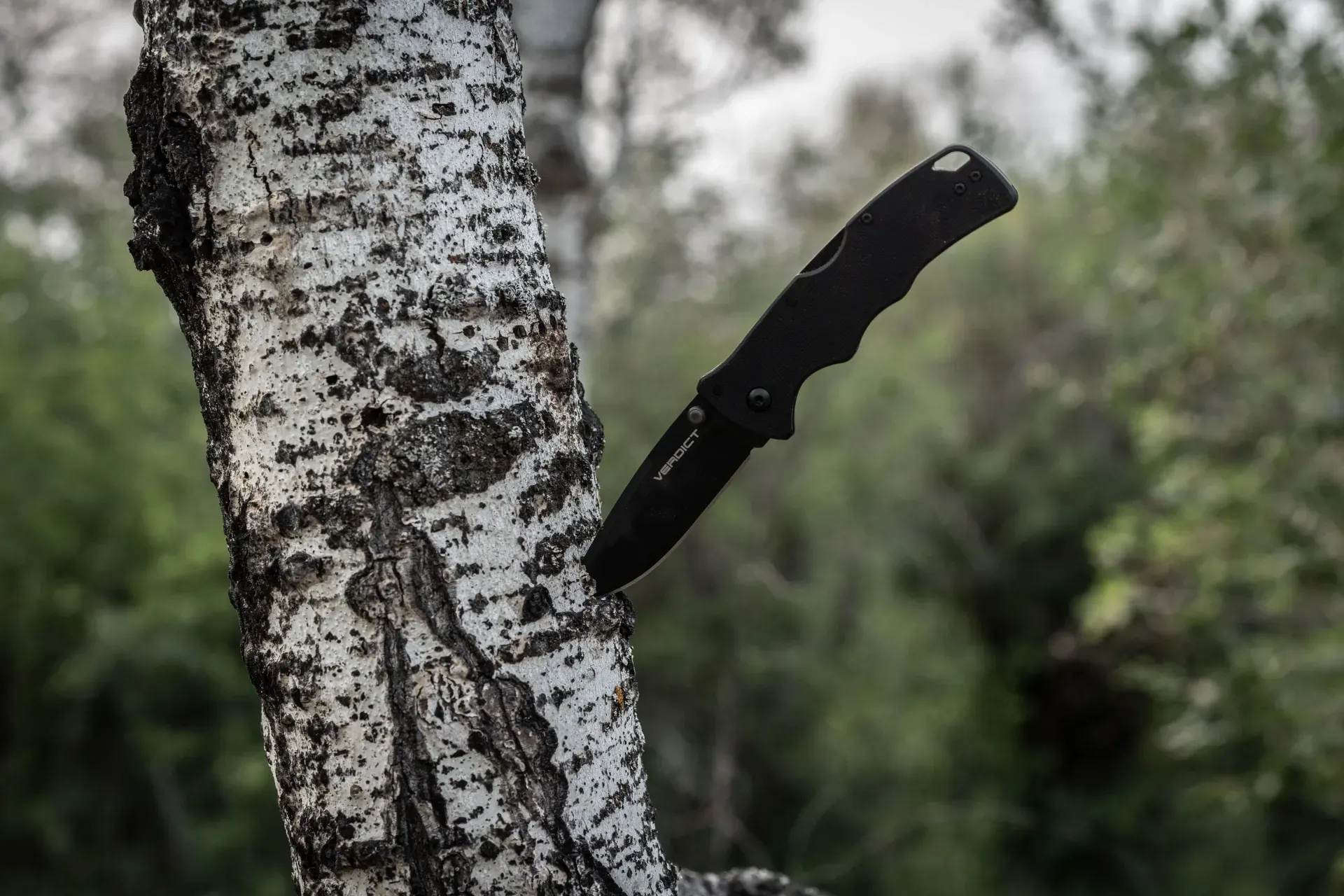 Cold Steel | Guidefitter