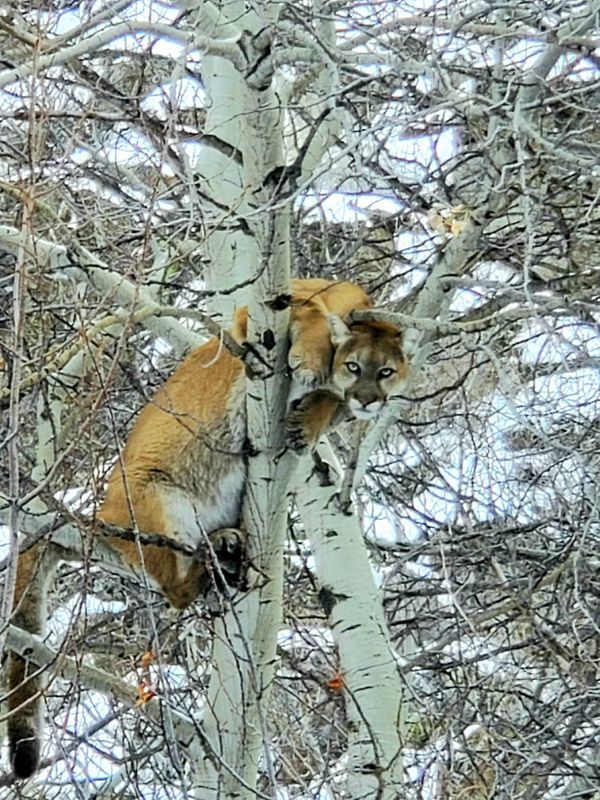 Preston Higgins | Guidefitter