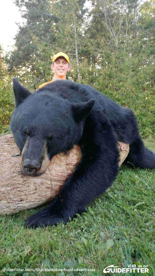 Black Bear Hunting | Black Hide Bear Hunt Adventures