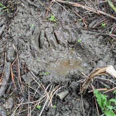 EXO JACKET | Guidefitter