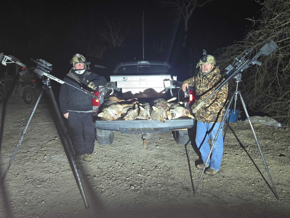 Coyote Hunting in Wisconsin | Apex predator hunting LLC