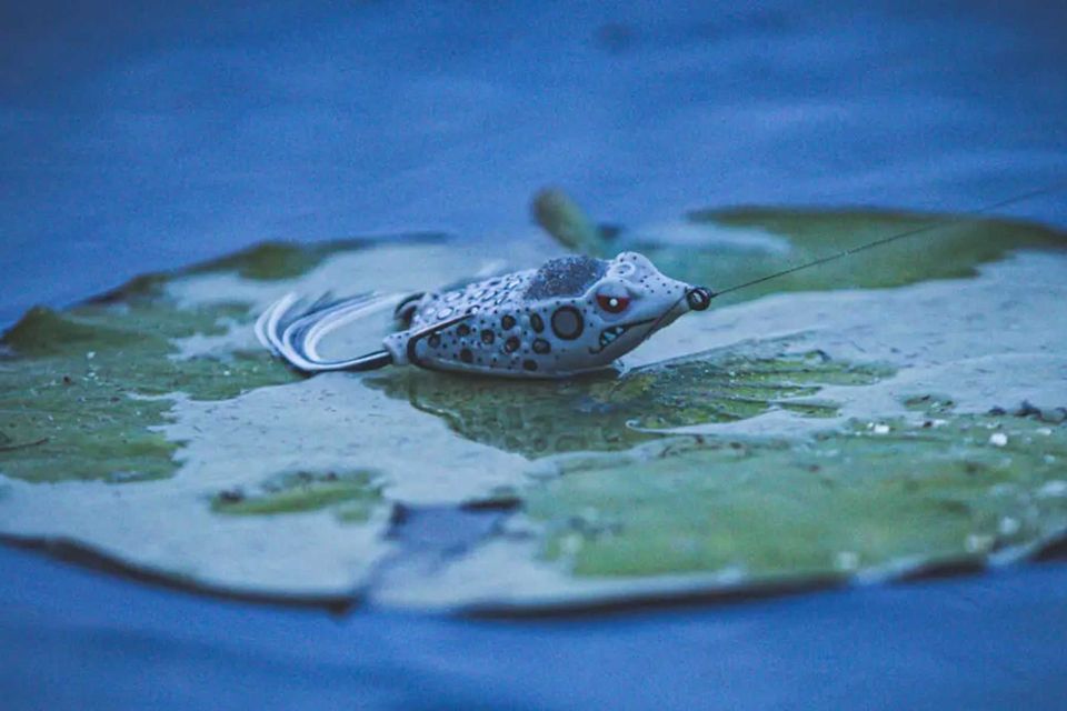 Frog Factory | Guidefitter