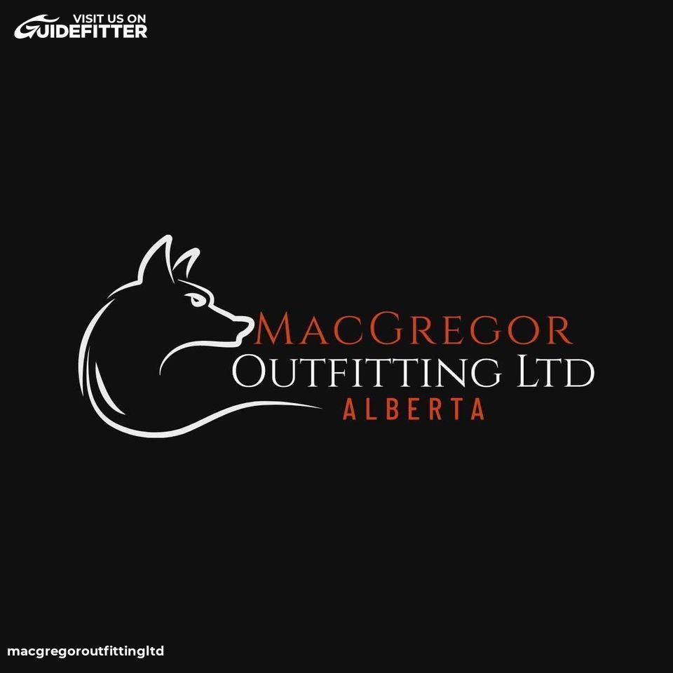 Wolf Hunting in Alberta | MacGregor Outfitting Ltd