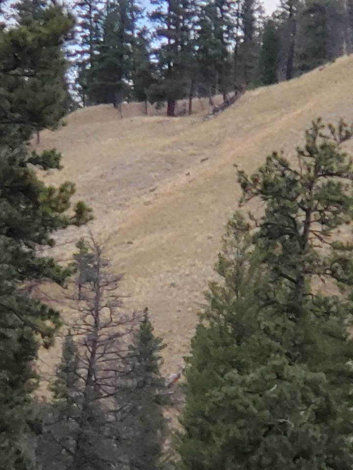 Jeremy Ouellette | Guidefitter