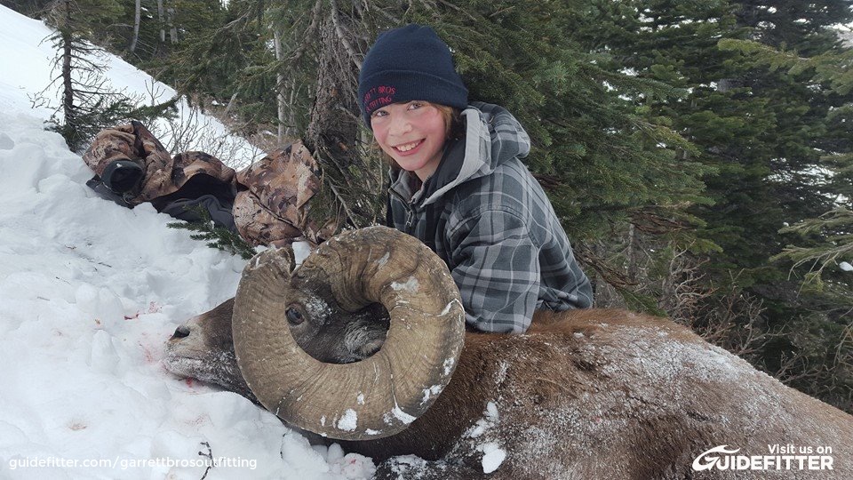 Bighorn Sheep Hunting in Alberta | Garrett Bros Outfitting, Ltd
