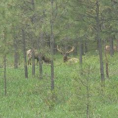 EXO JACKET | Guidefitter