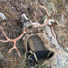 Sawtooth 45 | Guidefitter