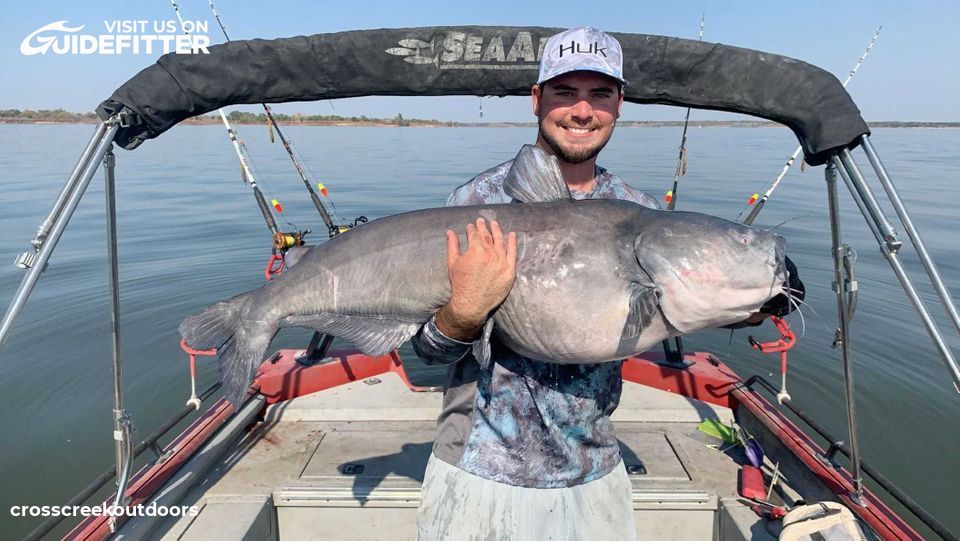 Guided Trophy Blue Catfish Trips (Milford Lake, Kansas) ... | Guidefitter