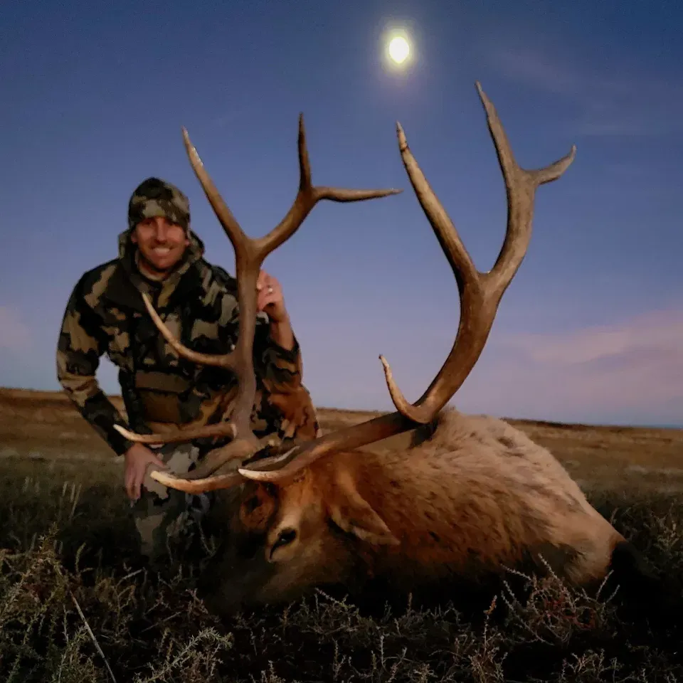 Review - Great accuracy and terminal performance | Guidefitter