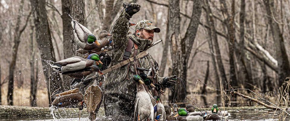 Avian-X | Guidefitter