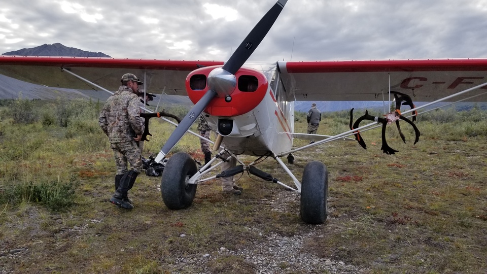 Kings Camo | Guidefitter