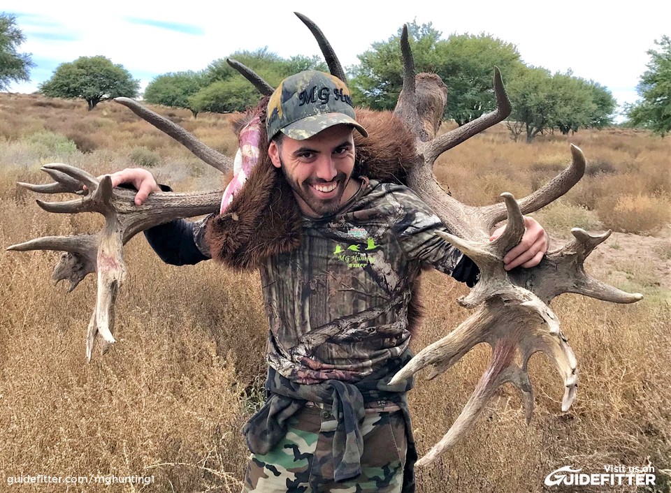 Free range Red Stag. | MG Hunting