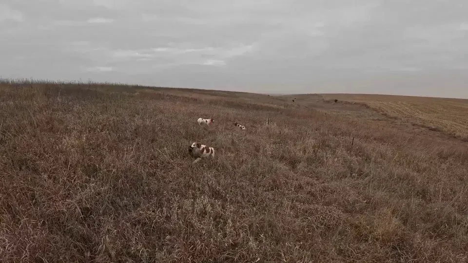 Review - Why Did I Wait So Long To Purchase! | Guidefitter