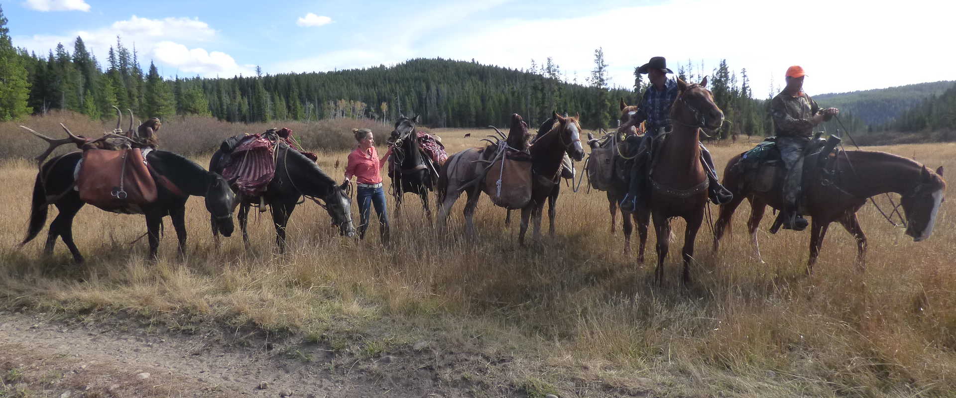 Gary Beard | Guidefitter