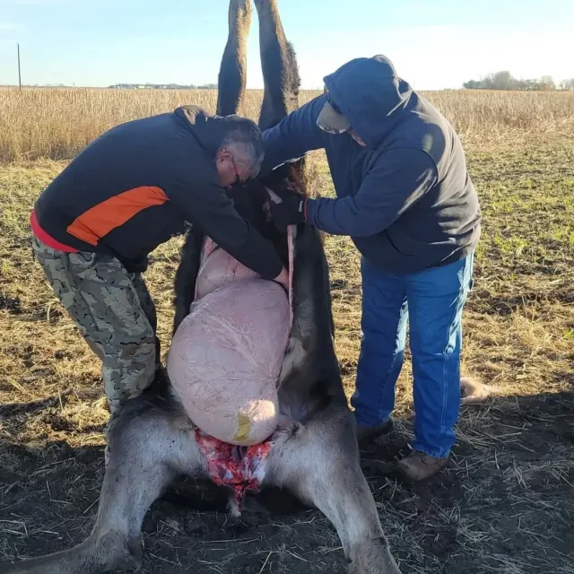 Review - Great knife | Guidefitter