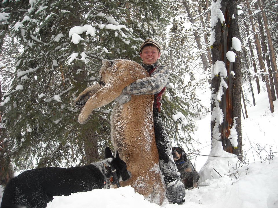 Mountain lion Hunt | Steel Creek Outfitters LLC