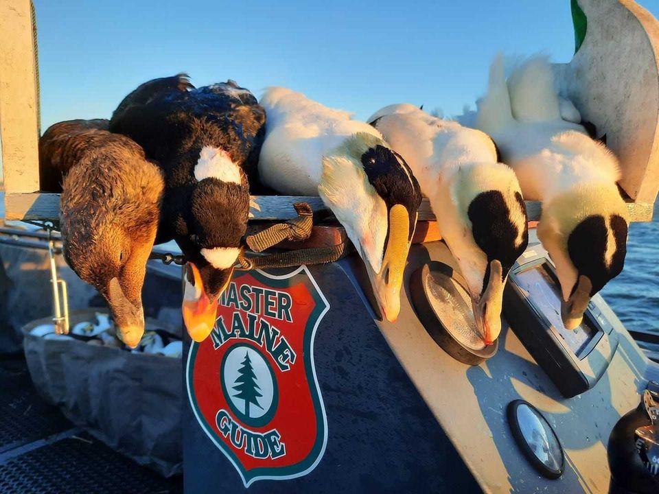 Troy Fields | Guidefitter