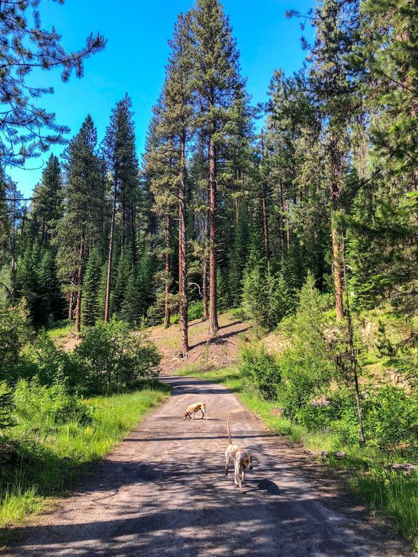 Alyssa Mahaney | Guidefitter