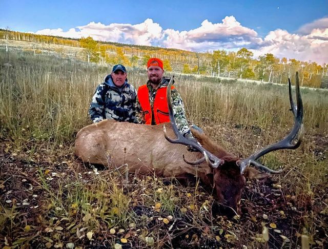 Colorado Elk 1st Rifle Season | Guidefitter