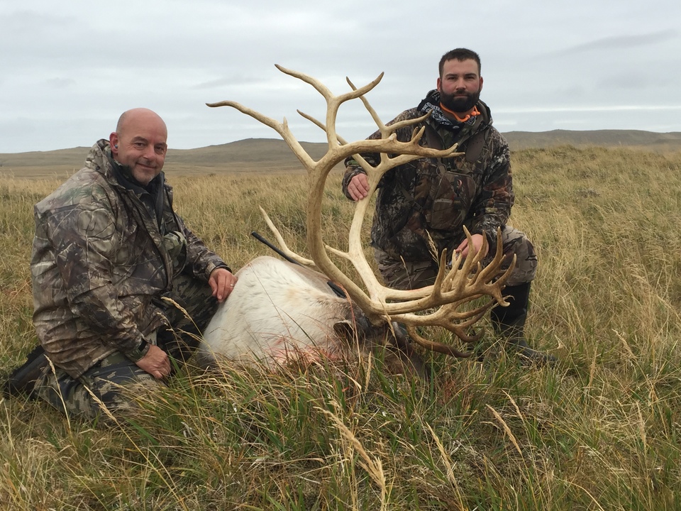 Trophy Reindeer and sea duck hunt Animals ranging from 3... | Guidefitter