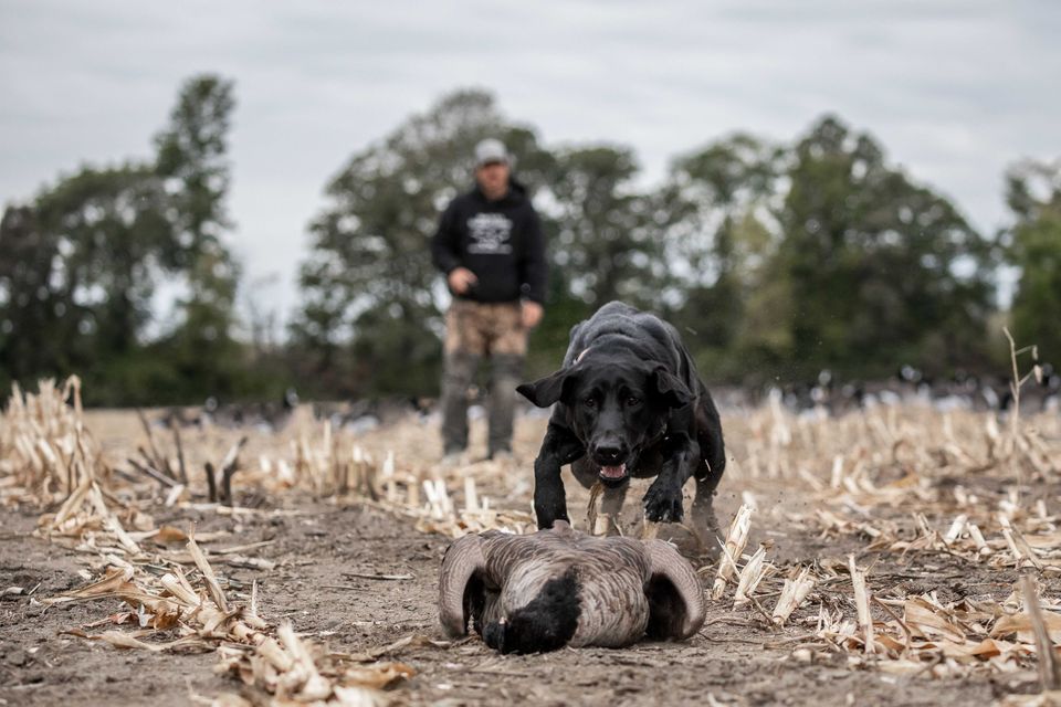 Bryce Collins | Guidefitter