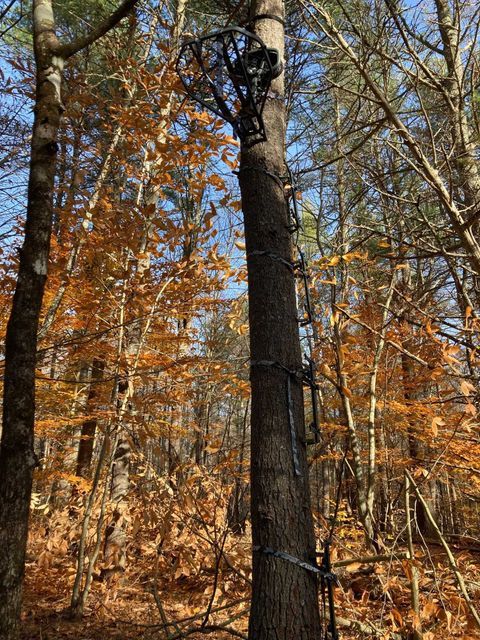 Review - Solid performance for the mobile treestand hunter! | Guidefitter