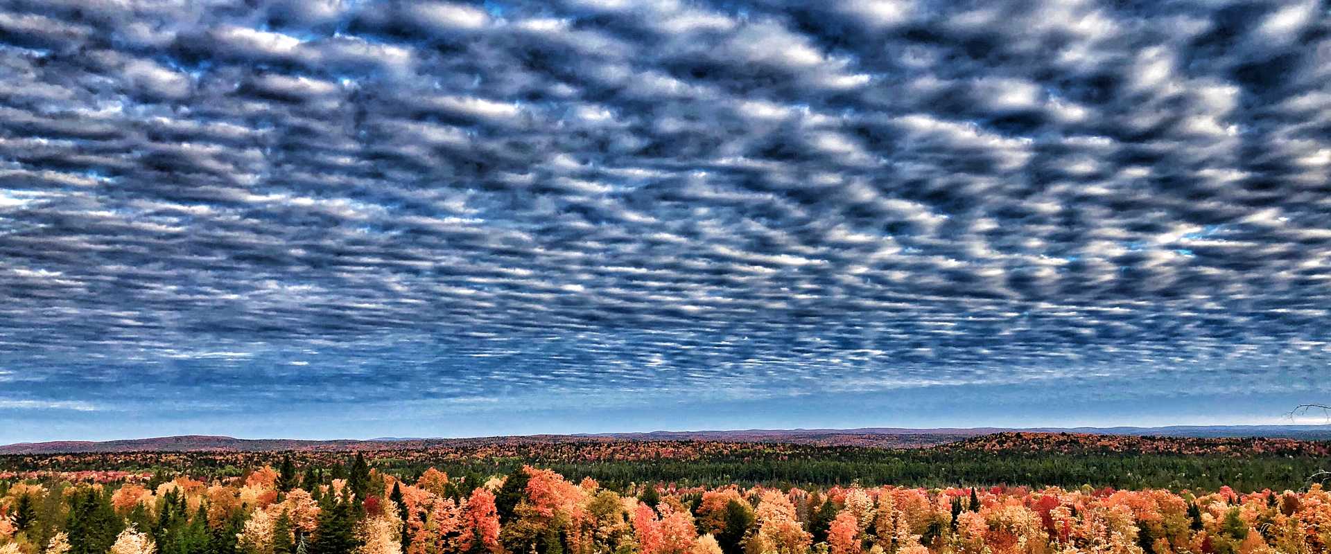 Ken Mayo | Guidefitter