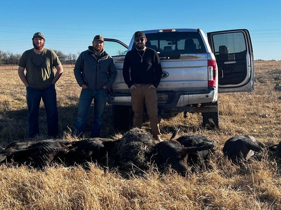Wild Pig Hunting in North Central Texas | Red Barn Outfitters