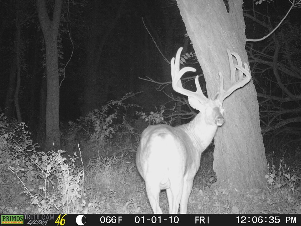 Thunder Ridge Outfitters | Guidefitter