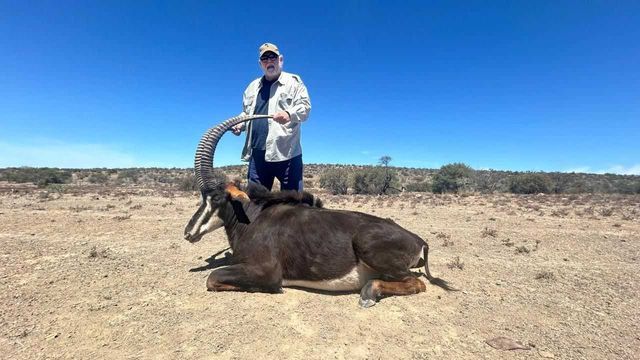 Review - Mr joe | Guidefitter