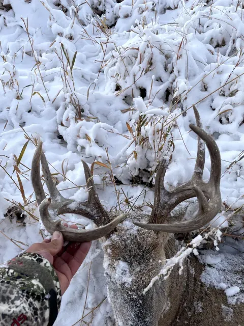 Thomas Oertli | Guidefitter