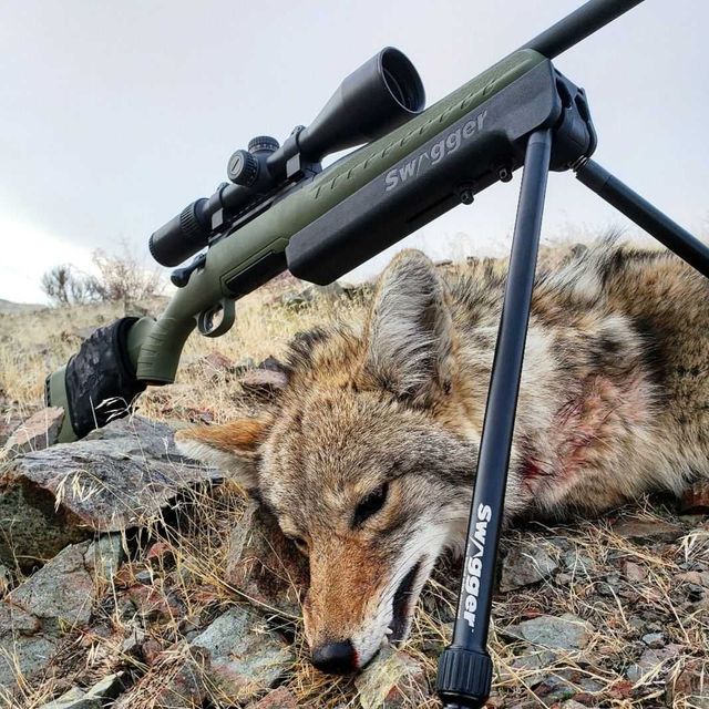 Swagger Bipods | Guidefitter