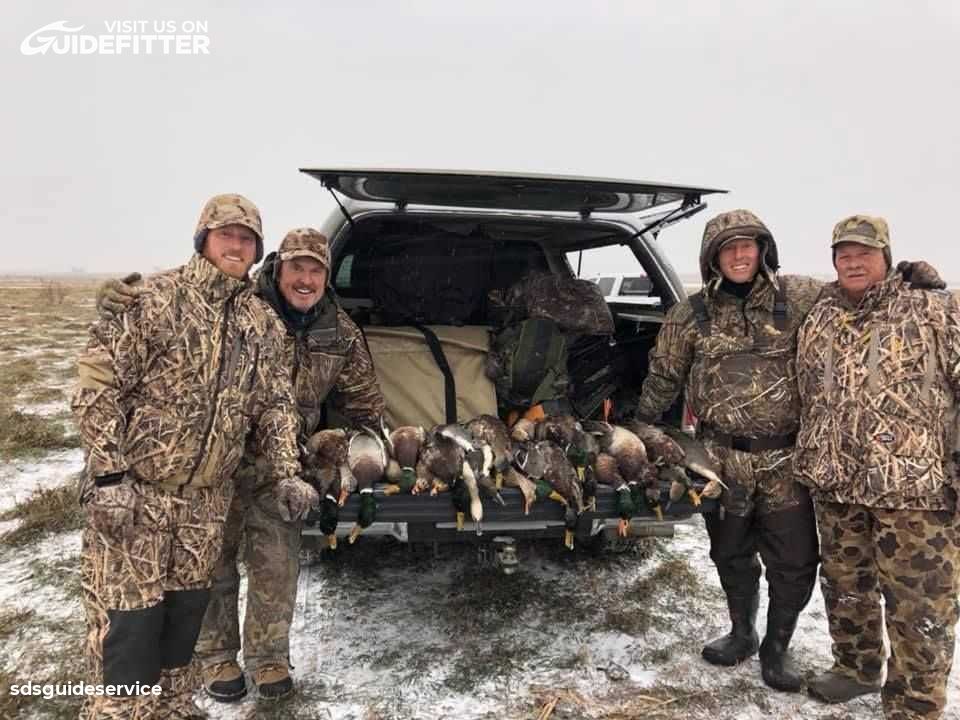 Conservation Snow Goose in SD | SDS Guide Service