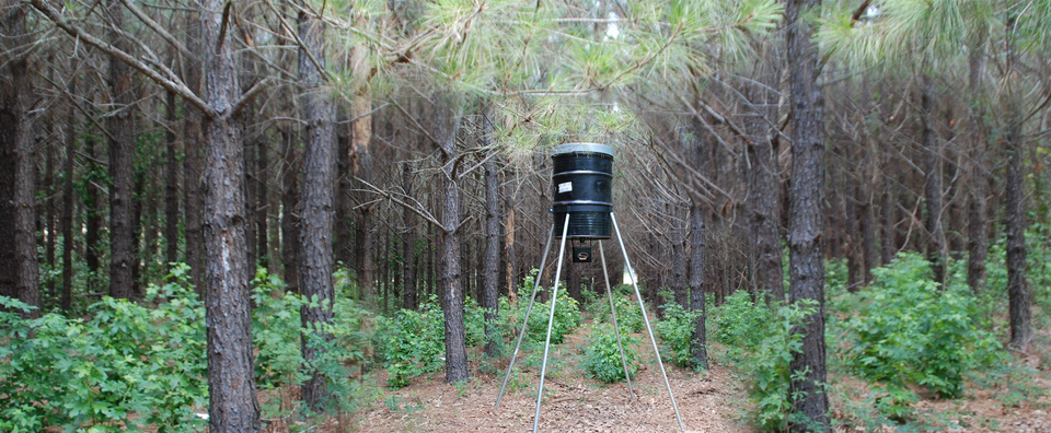 Boss Buck | Guidefitter