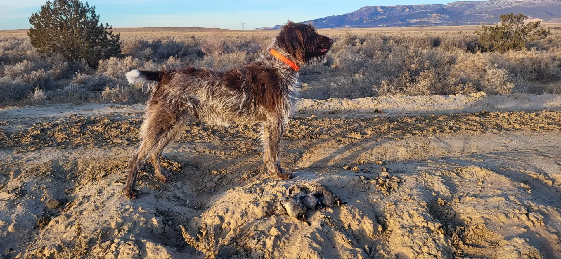 Jake Andersen | Guidefitter