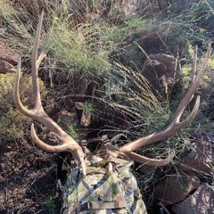 Sawtooth 45 | Guidefitter