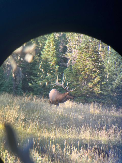 Utah Late Sept-Mid October Big Game | Guidefitter