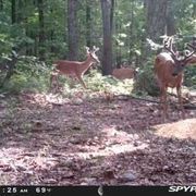 Troy Powers | Guidefitter