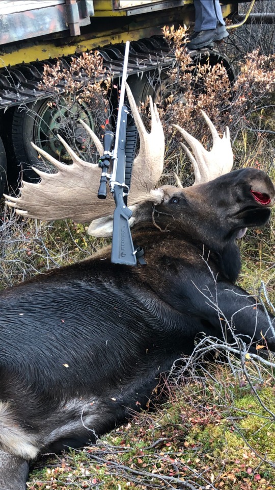 Jason Sisson | Guidefitter