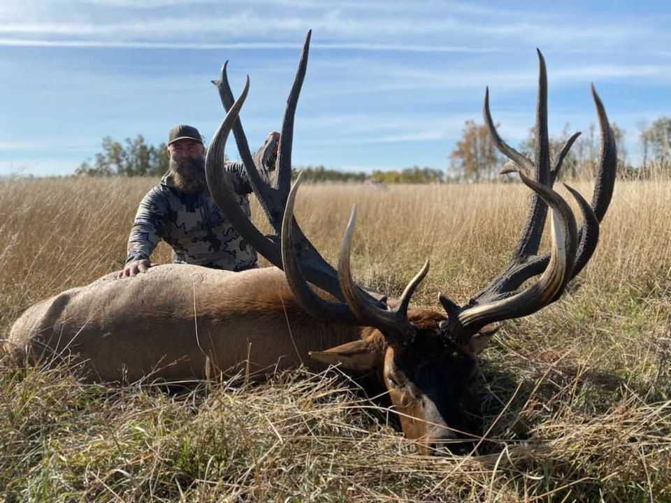 Trophy Whitetail Deer | Great North Safari