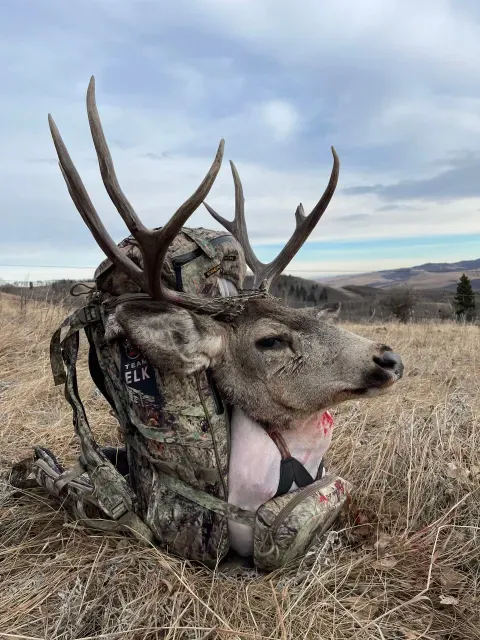 Review - Excellent frame pack | Guidefitter